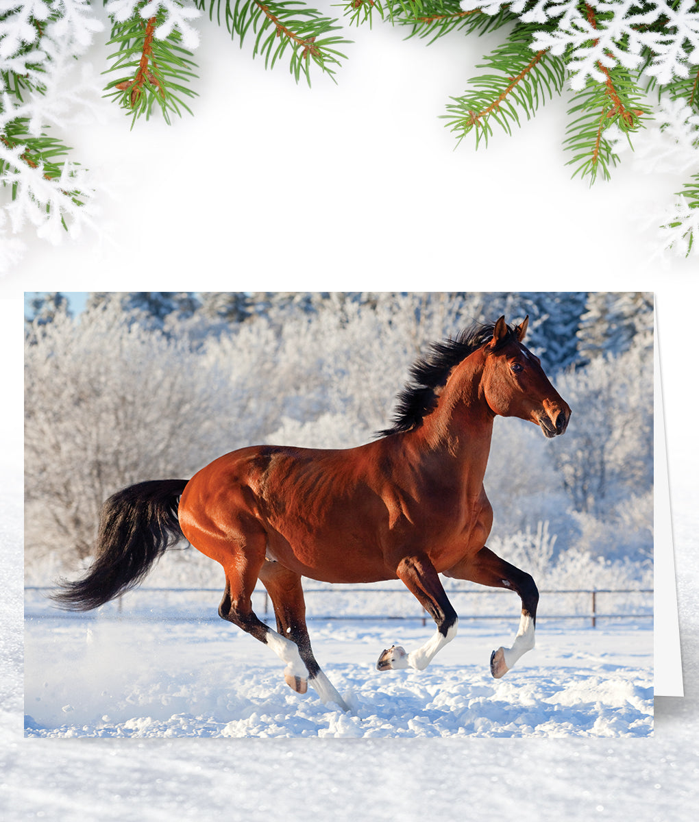 Winter Stallion – corporatecollection.co.uk
